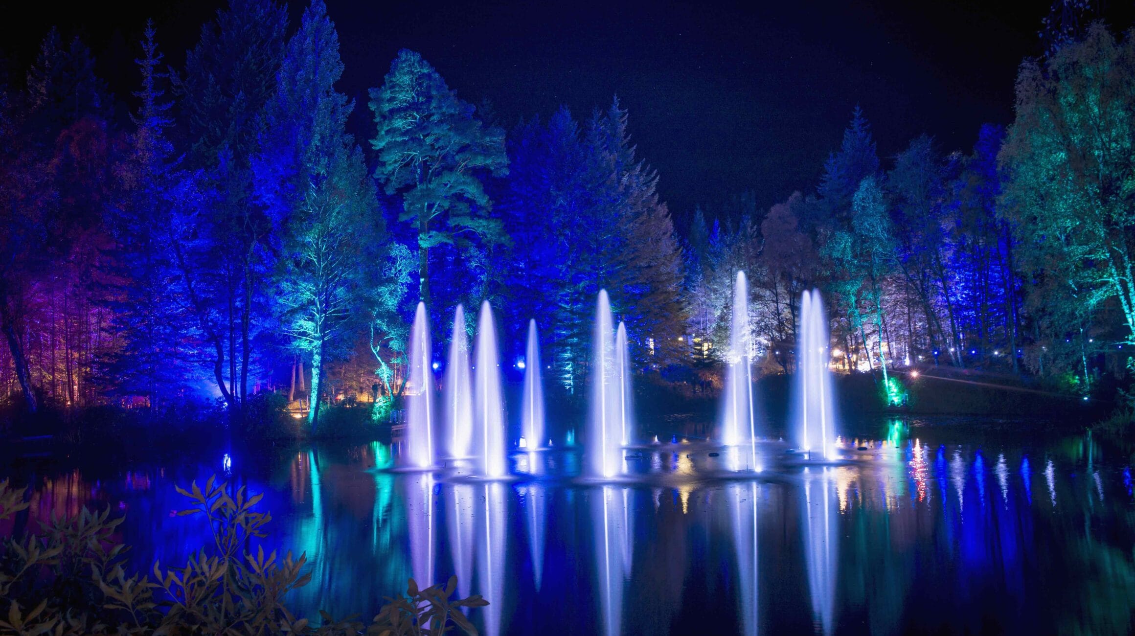 The Wonderful Enchanted Forest - Meetings Perthshire